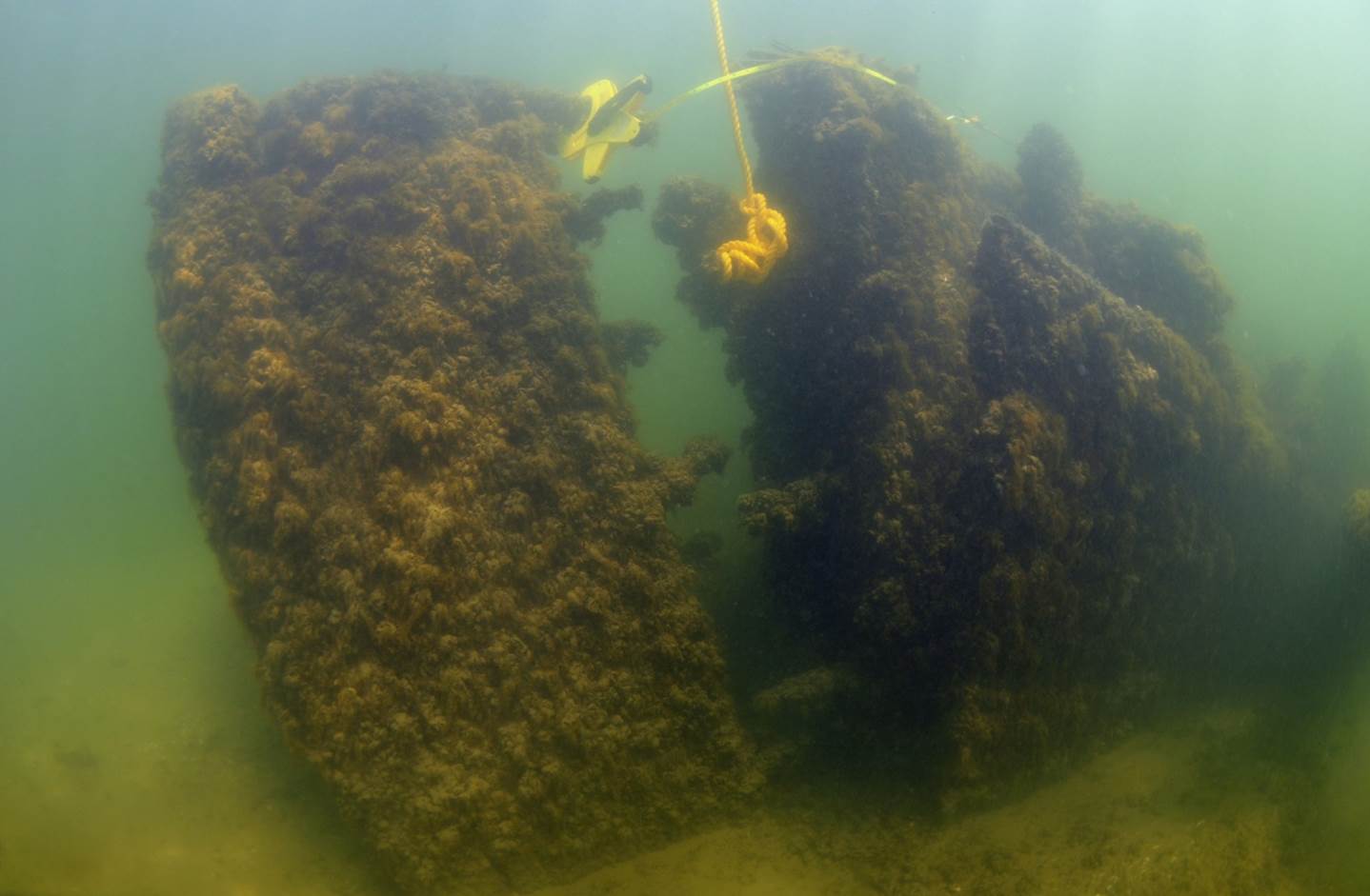 Adriatic (1889) - WI Shipwrecks