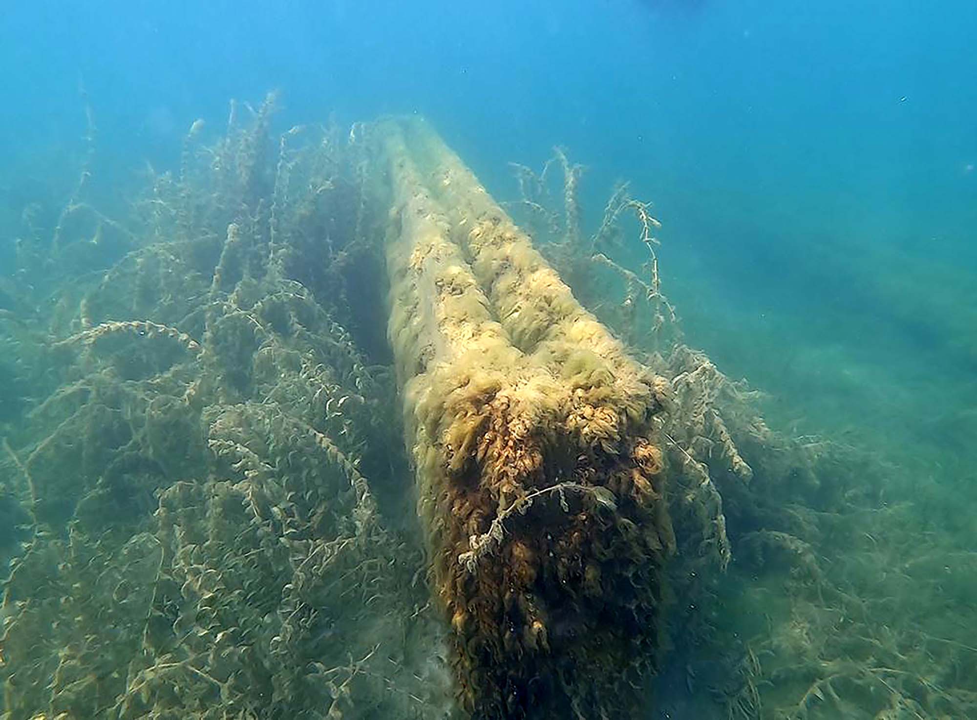 Boaz (1869) - WI Shipwrecks